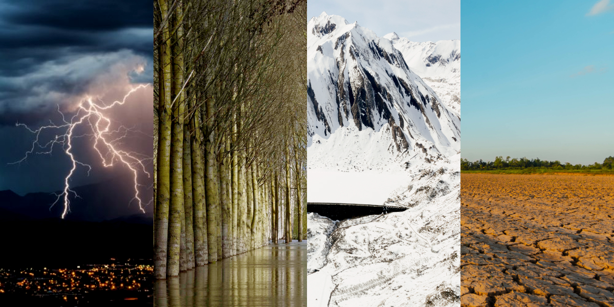 Il pianeta e la sua cura: il poster di Lab24 | Il Sole 24 ORE